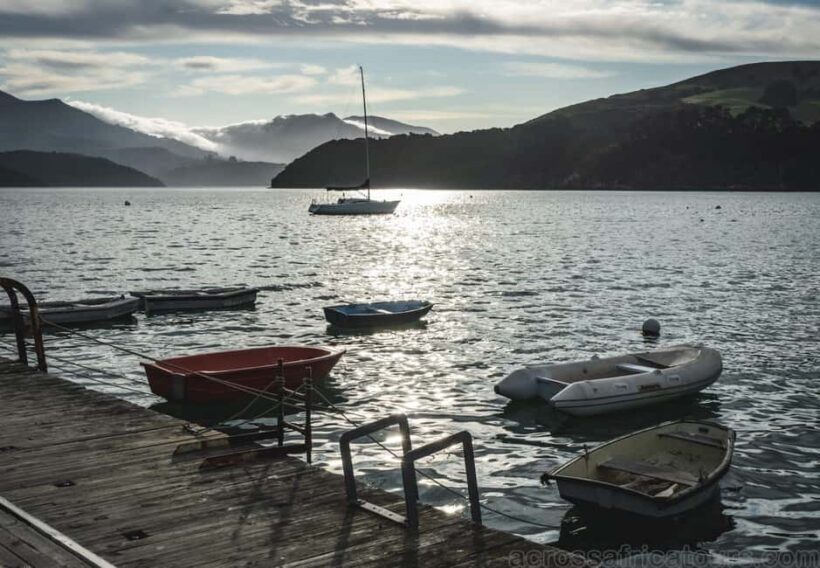 Christchurch City & Jetboat Adventure from Akaroa - Returning to Akaroa and Practicalities
