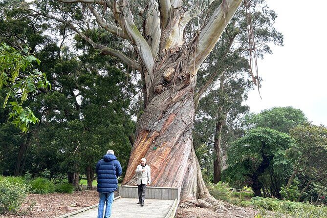 Christchurch City Top Sights Half Day Tour(Small Group Tour) - The Bottom Line