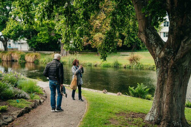 Christchurch City Top Spots Private Half Day Tour - The Value Proposition