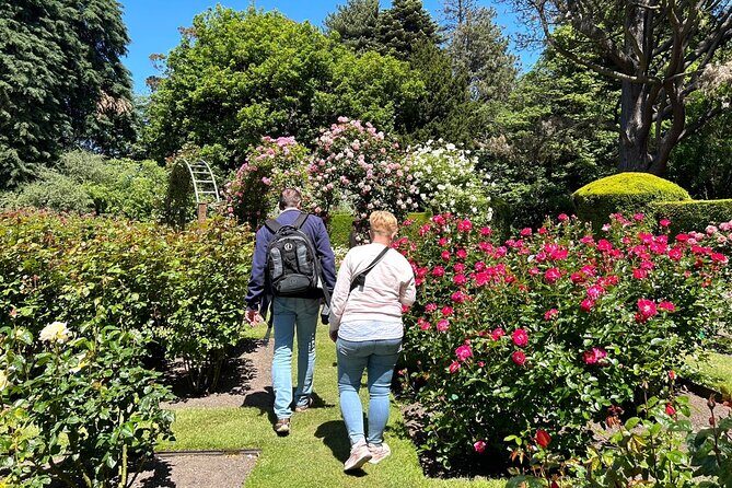 Christchurch City Top Spots Private Half Day Tour - Who Should Consider This Tour?