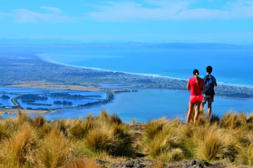 Christchurch: Full or Half-Day Rock Climbing Tour with Guide - Key Points