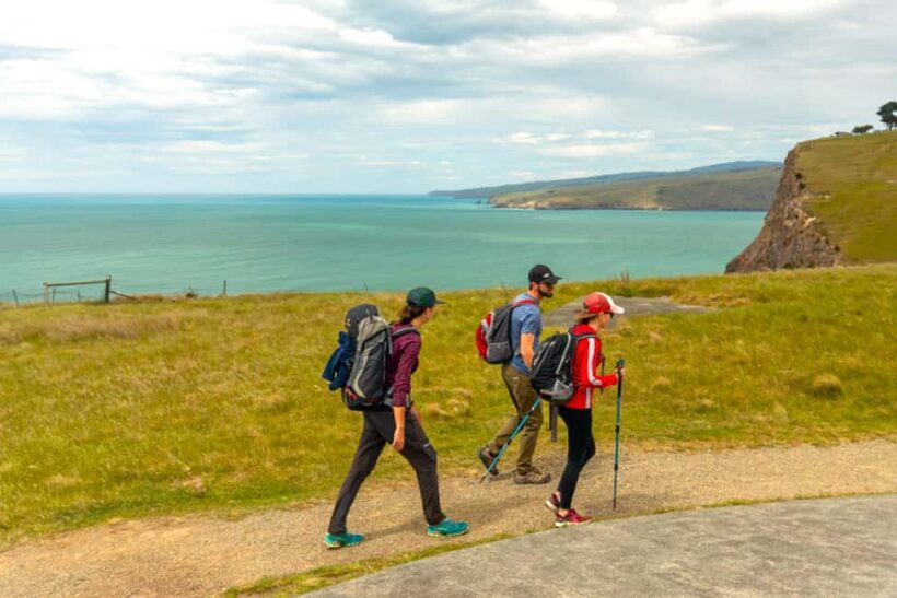 Christchurch: Godley Head & Lyttelton Guided Walking Tour - An Authentic and Well-Paced Day Out