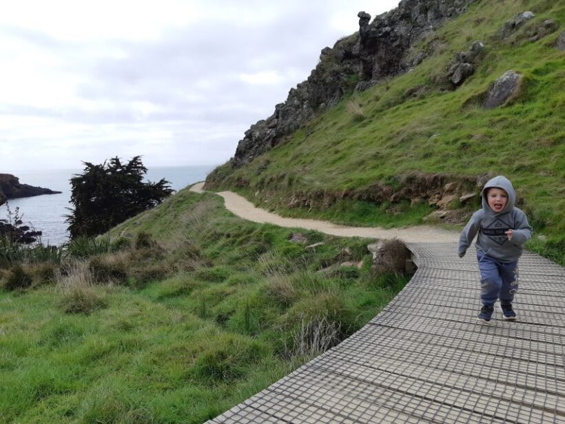 Christchurch: Godley Head & Lyttelton Guided Walking Tour - WWII Defences and Historical Significance