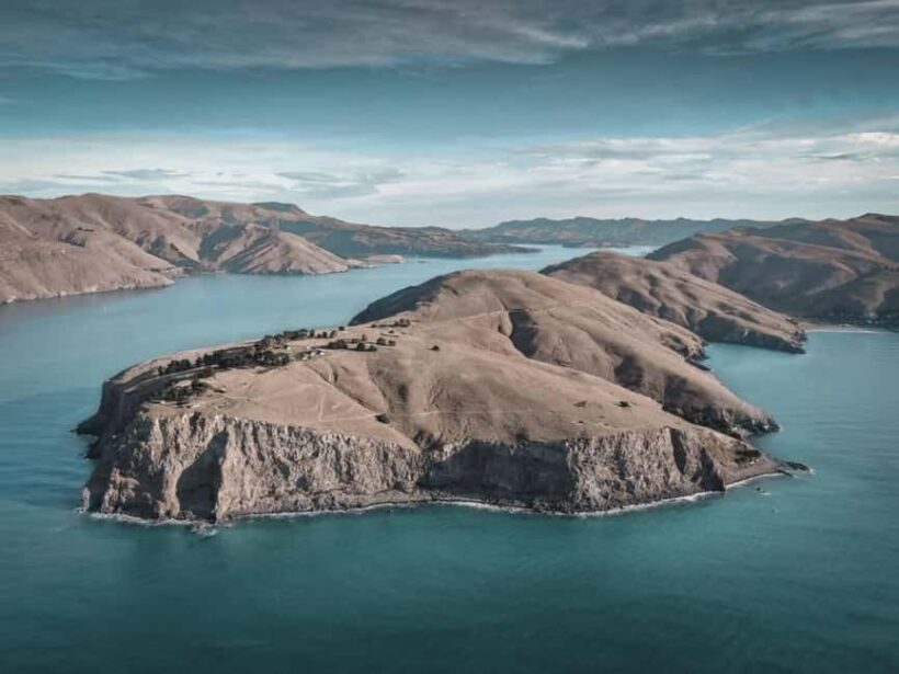 Christchurch: Godley Head & Lyttelton Guided Walking Tour - Scenic Return and Additional Insights
