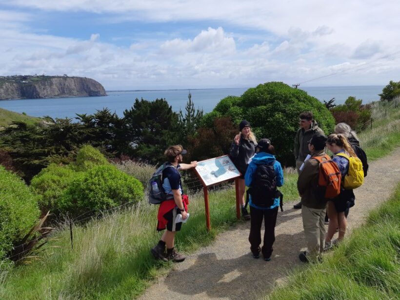 Christchurch: Godley Head & Lyttelton Guided Walking Tour - Value for Money