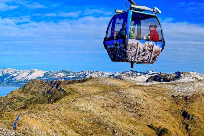 Christchurch: Gondola Ride - Reviews: What Travelers Are Saying