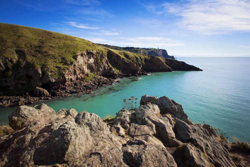 Christchurch: Guided Crater Rim Walk with Picnic - An Overview of the Experience