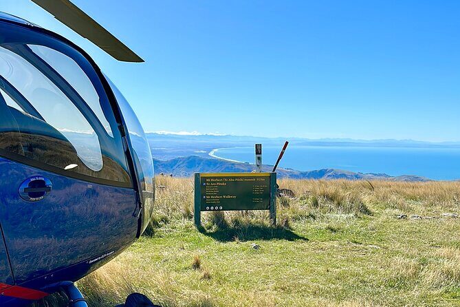 Christchurch Helicopter Picnic - Authentic Experiences and Traveler Insights