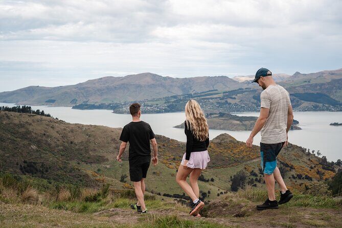 Christchurch Highlights Tour (Full Day Private) - A Full Breakdown of the Itinerary