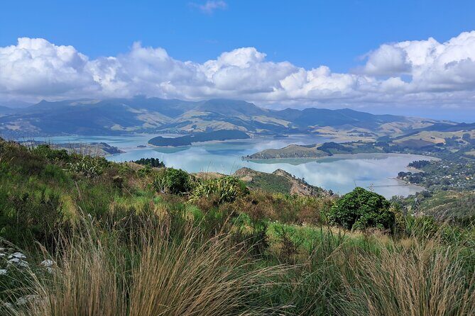 Christchurch Highlights Tour (Full Day Private) - Who Should Consider This Tour?