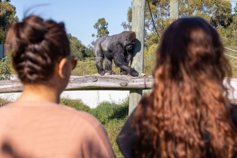 Christchurch: Orana Wildlife Park Admission - Value for Money