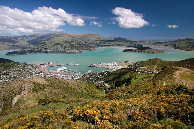 Christchurch Private Luxury Full Day Tour - The Experience of the Guides: Authentic Insights