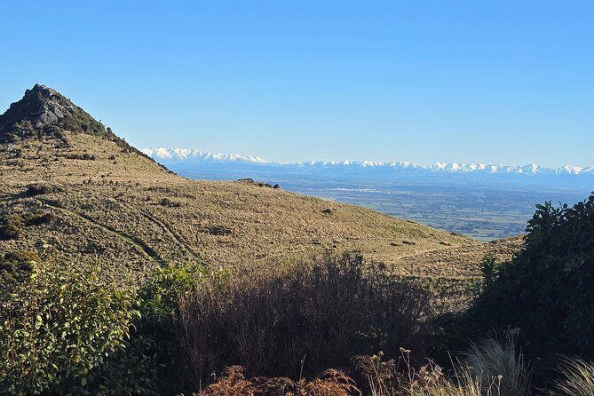 Christchurch Private Tour (Premium) Full day - Exploring Christchurch in Depth: A Day Well Spent