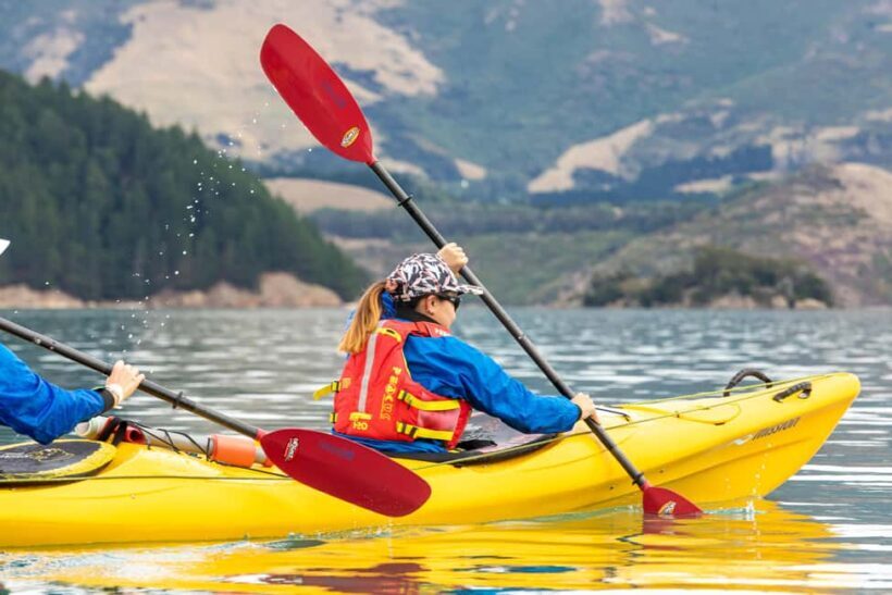 Christchurch: Sea Kayaking Tour of Lyttelton Harbour - Value and Practical Considerations