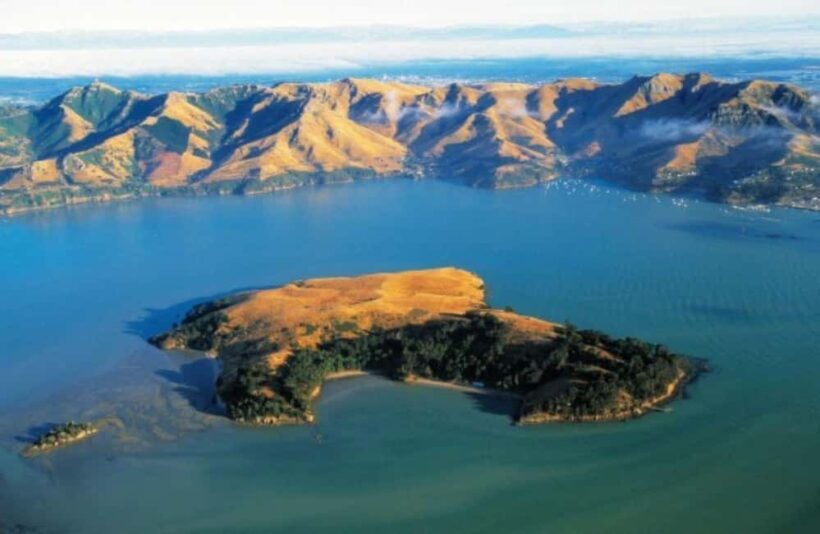 Christchurch: Sea Kayaking Tour of Lyttelton Harbour - Authentic Experiences from Real Travelers