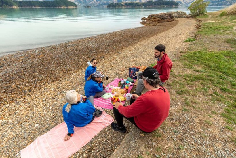 Christchurch: Sea Kayaking Tour of Lyttelton Harbour - The Sum Up