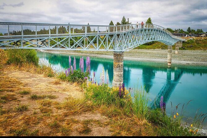 Christchurch to Queenstown One Way Via Lake Tekapo and Mt Cook - Final Thoughts: Is This Tour for You?