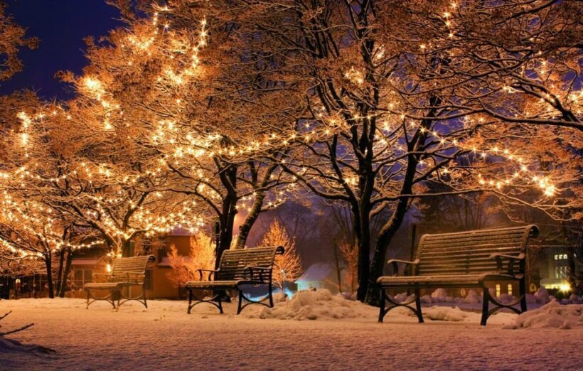 Christmas Gems of Budapest  Private Walking Tour - Who Will Love This Tour?