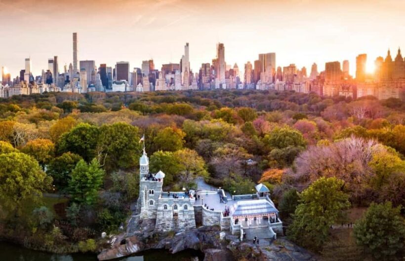 Christmas in Central Park: Horse Carriage Holiday Tour - Key Points