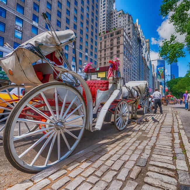 Christmas in Central Park: Horse Carriage Holiday Tour - An in-depth look at the itinerary
