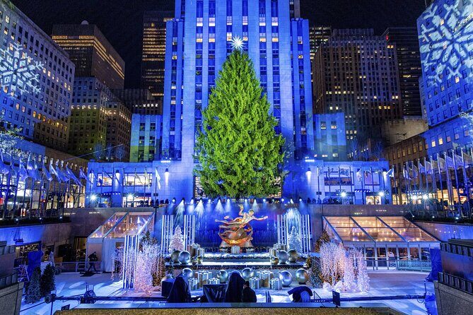 Christmas Light Private Carriage Ride New York City - The Sum Up: Who Should Consider This Tour?