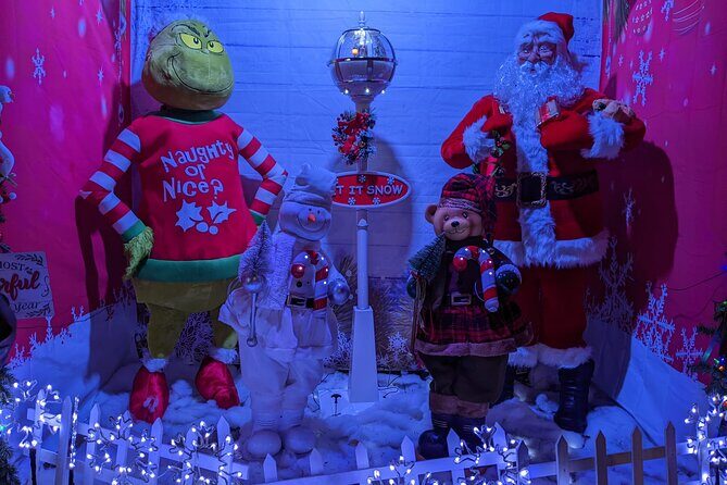 Christmas Lights Tour - Key Points