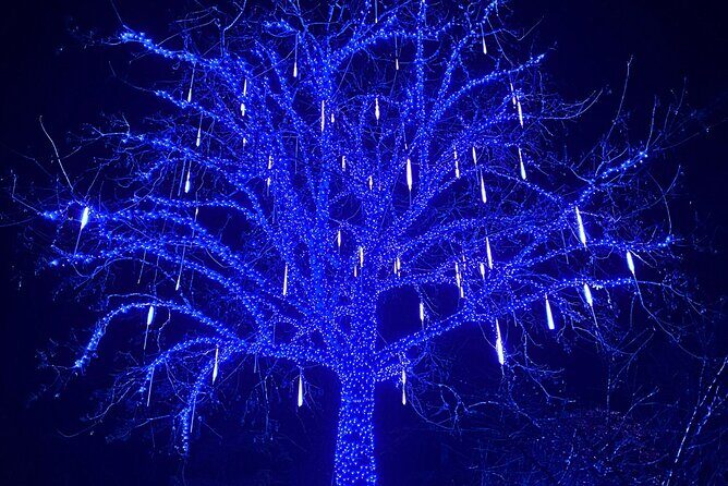 Christmas Lights Tour Butchart Gardens & City Tour in Victoria BC - FAQs