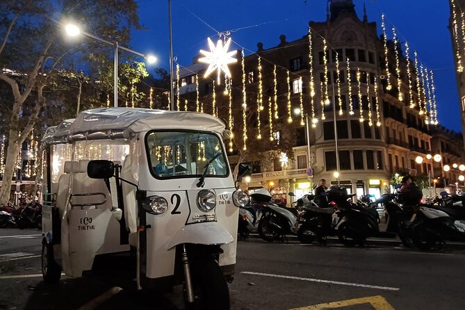 Christmas Lights Tour of Barcelona in Private Eco Tuk Tuk - Who Will Love This Tour?
