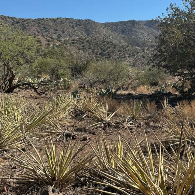 Chrysotile, AZ: Off-Road Adventure Gleason Flat - Salt River - A Practical Look at the Off-Road Adventure Experience