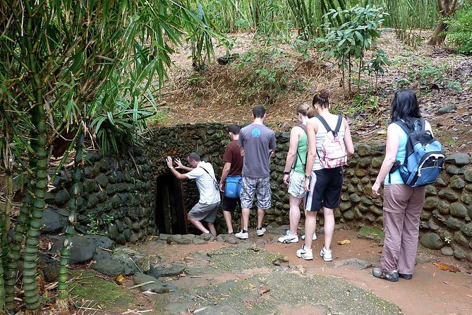 Chu Chi Tunnel With Cao Dai Temple Tour From Ho Chi Minh - Transition to History at Cu Chi Tunnels