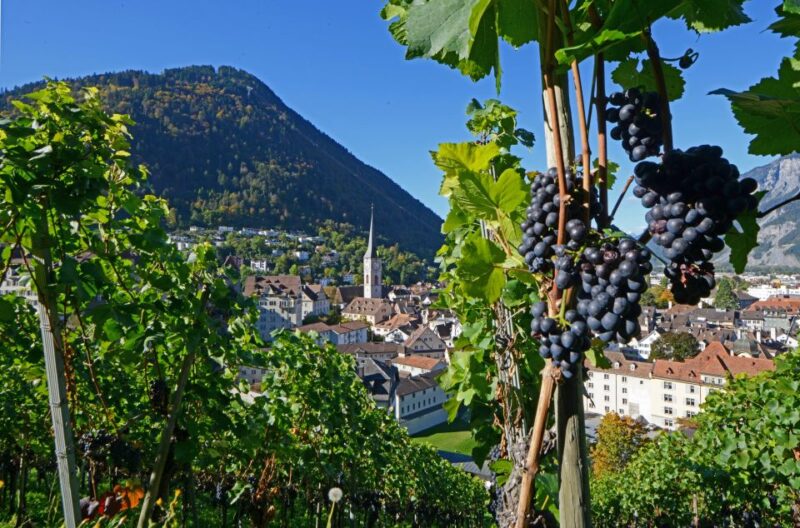 Chur: Old Town Tour - Experience Highlights