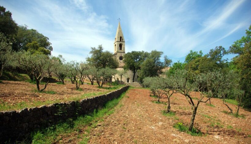 Churches of Provence & French Countryside Private Tour - A Journey Through Religious and Royal Provence