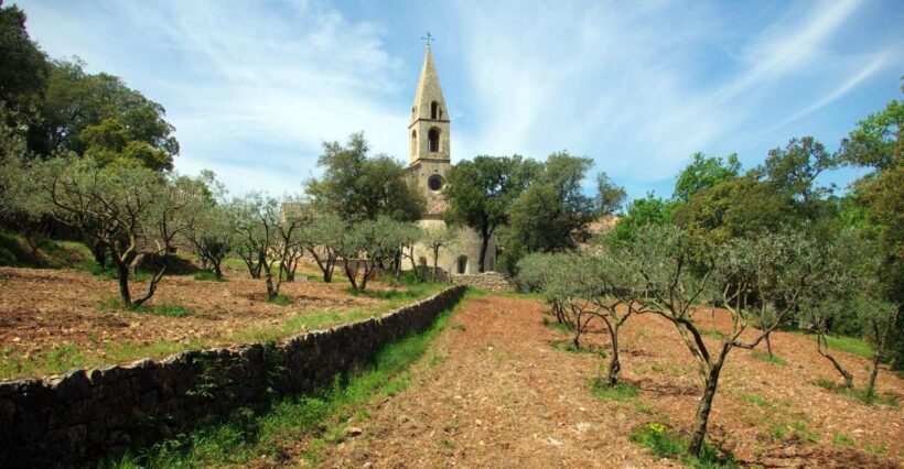Churches of Provence & French Countryside Private Tour - What to Expect on the Day