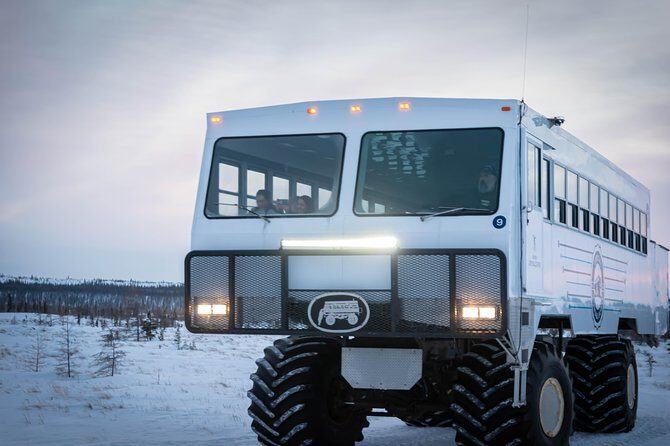 Churchill Polar Bear Experience  5-Night Classic Tour - Cost and Value Analysis