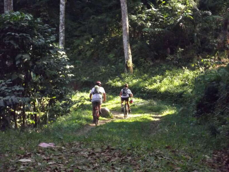 CIanjur : Downhill and Countryside Cianjur Cycling Tour - Why This Tour Is a Great Deal