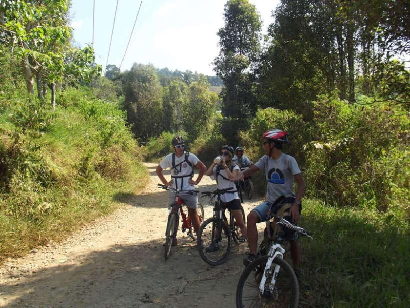 CIanjur : Downhill and Countryside Cianjur Cycling Tour - Who Will Love This Experience