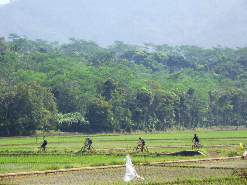 CIanjur : Downhill and Countryside Cianjur Cycling Tour - Final Thoughts: Is It Worth It?