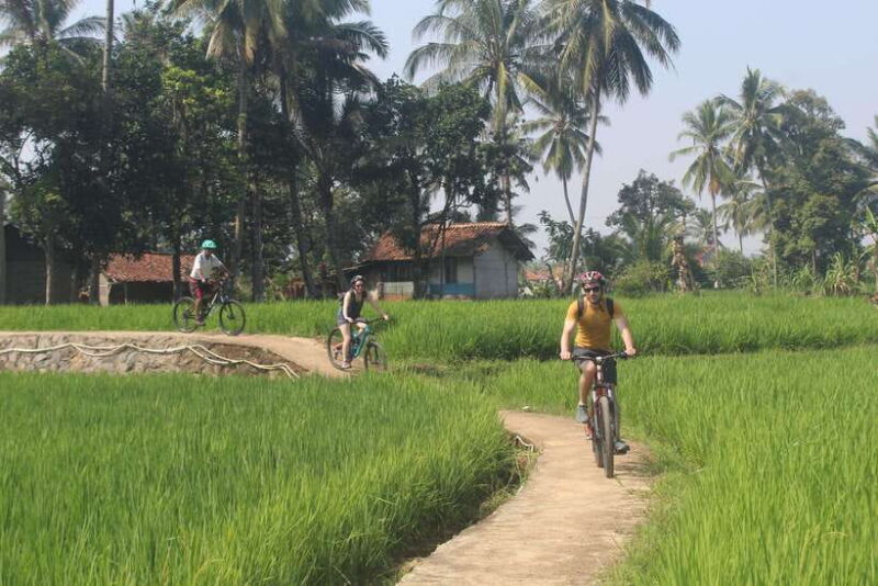 CIanjur : Downhill and Countryside Cianjur Cycling Tour - Final Word