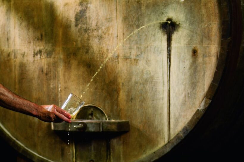 Cider House Experience From San Sebastián - An In-Depth Look at the Cider House Experience