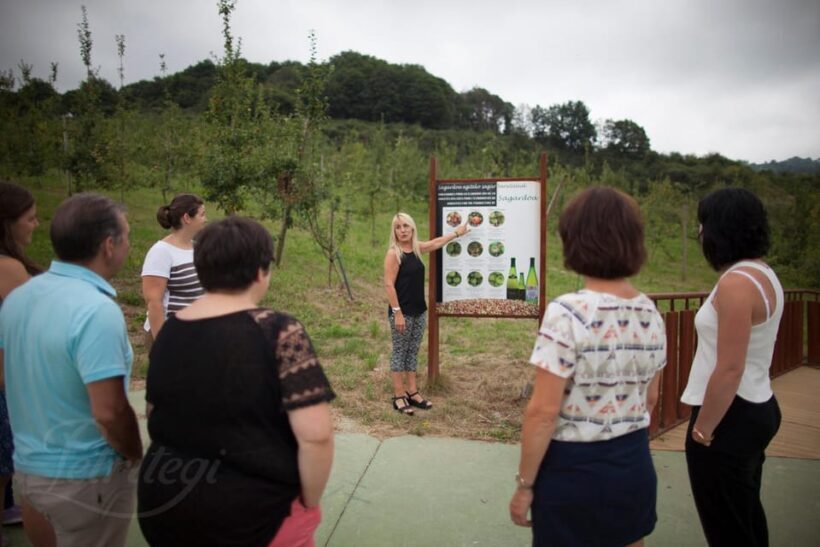 Cider House Experience From San Sebastián - Who Should Consider This Tour?