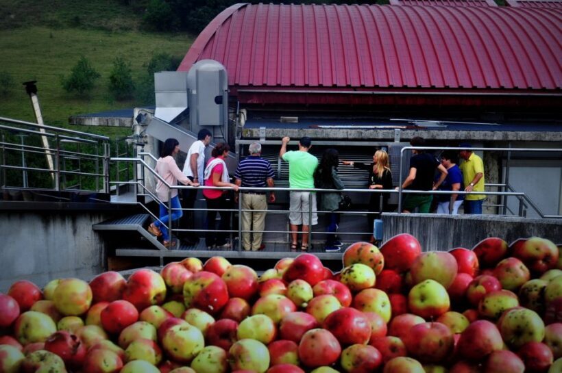 Cider House Experience From San Sebastián - FAQ