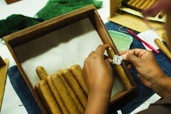 Cigar Shopping Tour in Punta Cana with Transportation Included - Who Is This Tour Best Suited For?