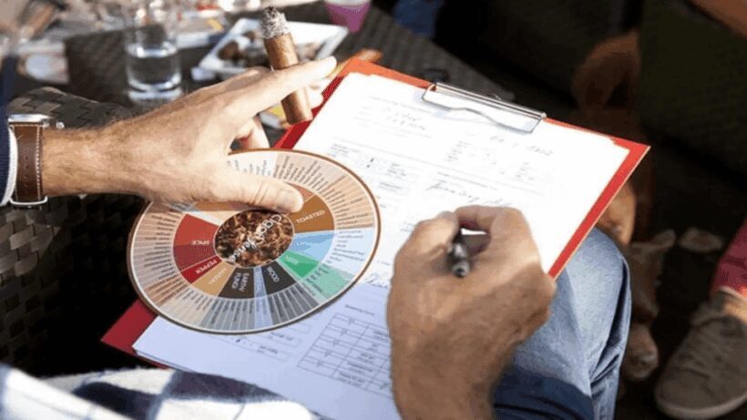 Cigar Tasting Masterclass - Why This Tour Offers Good Value