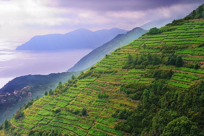 Cinque Terre and Pisa Full-Day Private Shore Excursion From Livorno Port - Exploring the Leaning Tower of Pisa