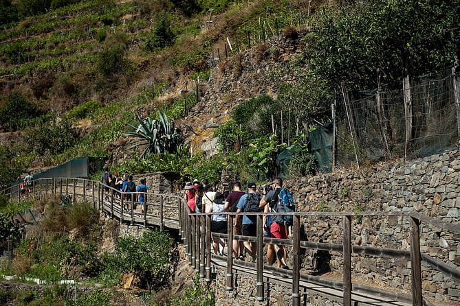 Cinque Terre Day Trip from Florence with Optional Hiking - Practical Details and Tips