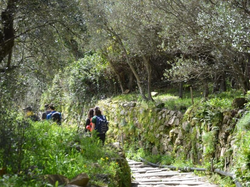 Cinque Terre: Eco Hiking and Wine Tasting - FAQs