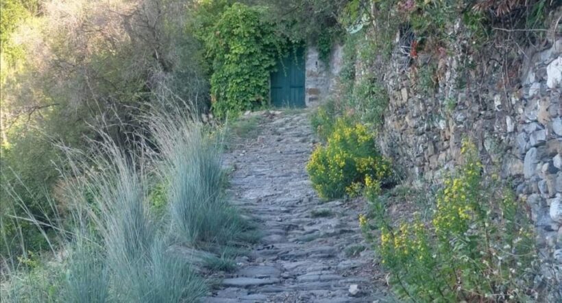 Cinque Terre from Vernazza to Monterosso and Sanctuaries - The Value of the Experience