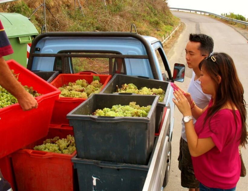 Cinque Terre Private Day Trip from Florence - Final Thoughts: Who Is This Tour Perfect For?