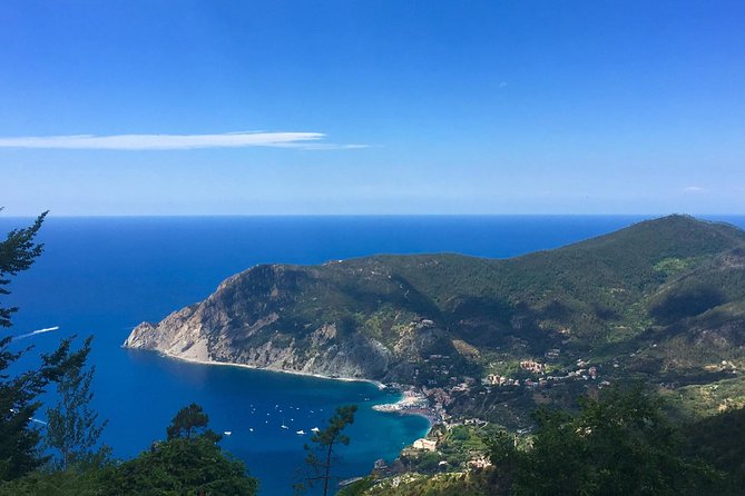 Cinque Terre Private Tour from La Spezia - Analyzing the Value
