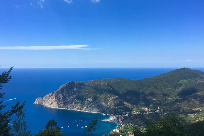 Cinque Terre Private Tour From Lucca - Issues and Responses